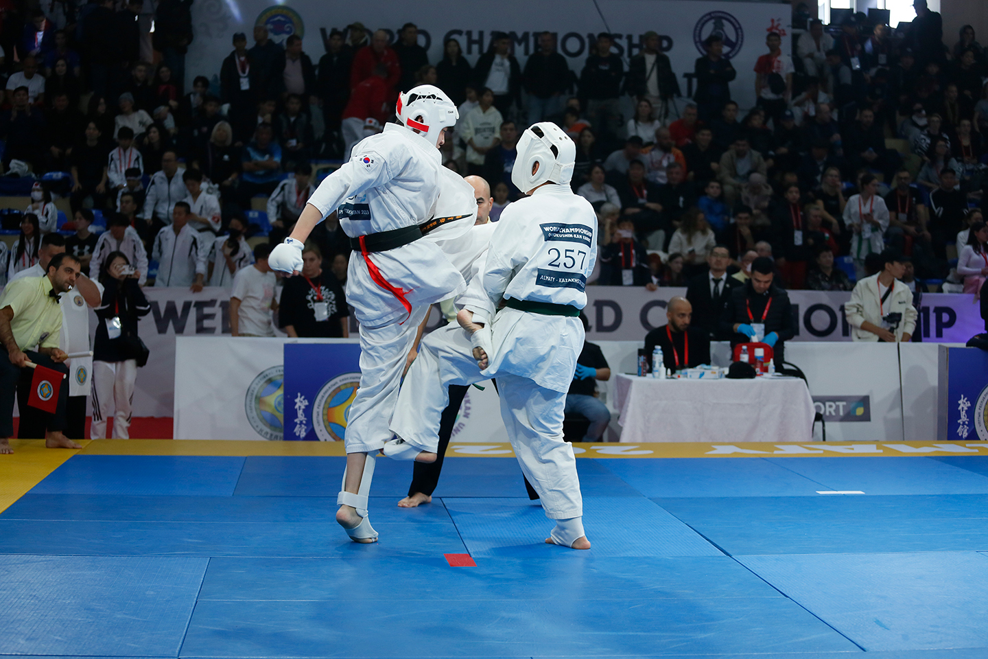 Kyokushinkan International Home